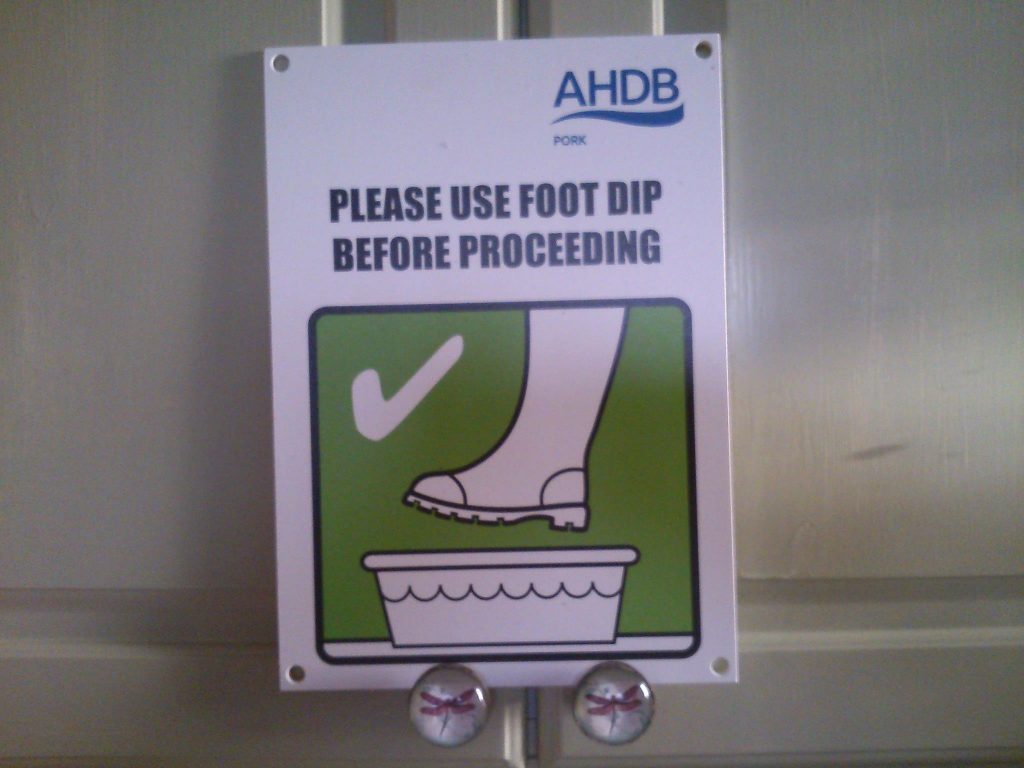 Foot Dip In Food Industry at Sara Wentworth blog