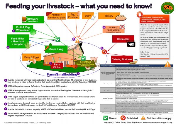 How To Properly Feed Your Livestock | Pig Eating Guide | OSB Pig Food