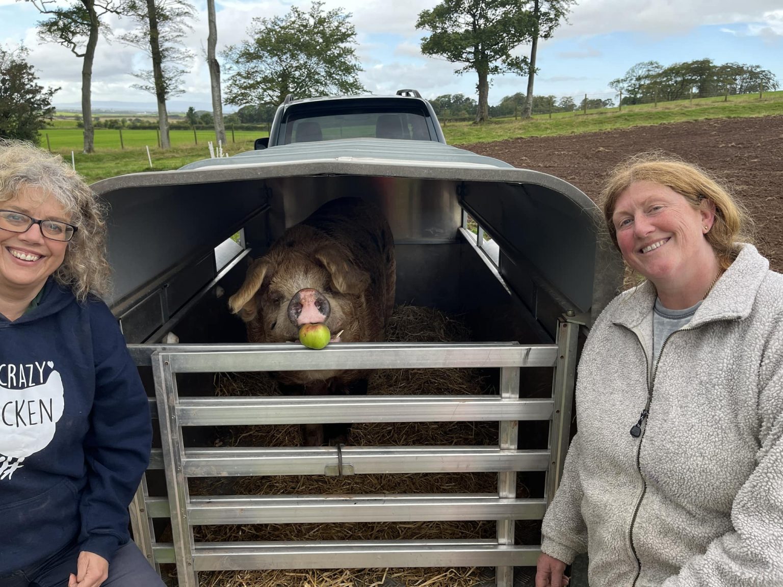 LOADING AND THE CONTAINING OF PIGS IN TRAILERS - Oxford Sandy and Black ...