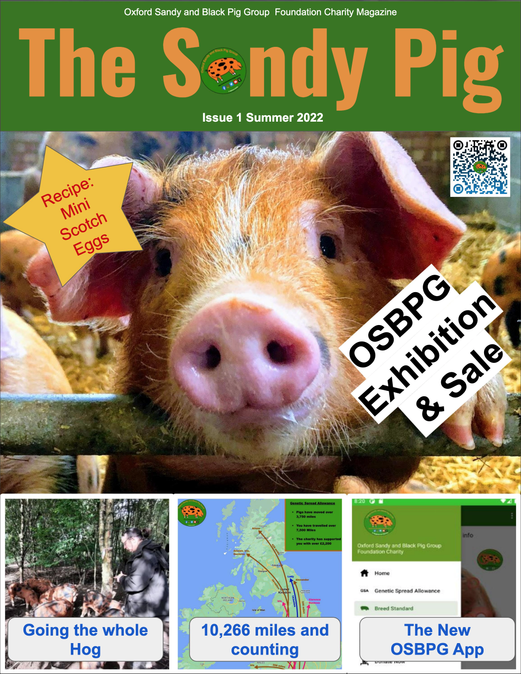 The Sandy Pig - Issue 1 Summer 2022 - Oxford Sandy and Black Pig ...