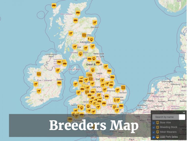 Oxford Sandy and Black Pigs - Oxford Sandy and Black Pig Foundation Charity