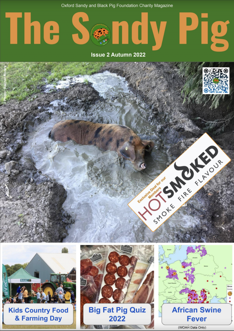 The Sandy Pig Issue 2 Autumn 2022 - Oxford Sandy and Black Pig Foundation Charity