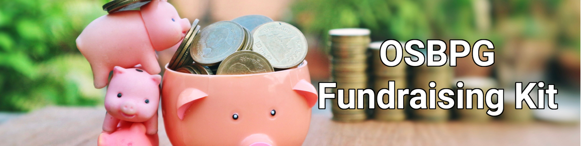 OSBPG Fundraising Kits - Oxford Sandy and Black Pig Foundation Charity